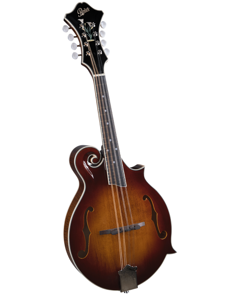 Rover Mandolin Deluxe F-Model RM-85 — The Guitar Shoppe 631